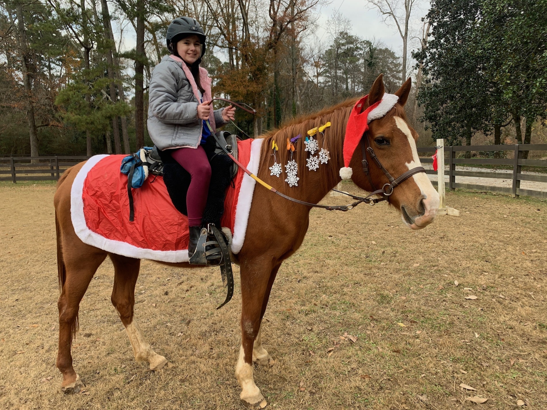 Reins of Hope - Enhancing Lives Equine-Assisted Therapies