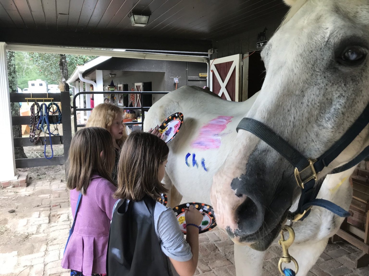 Equine-Assisted Therapy - Reins of Hope