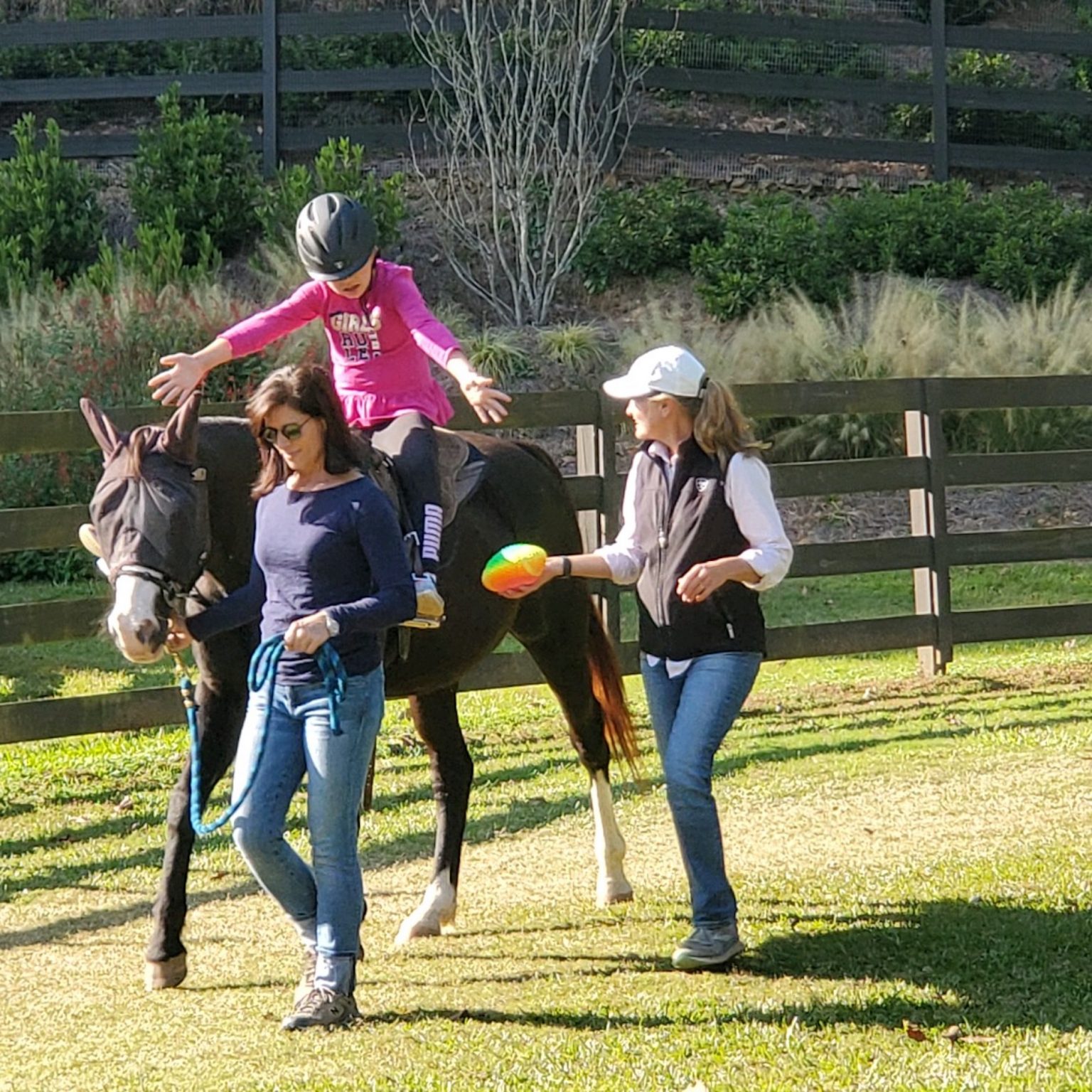 Reins of Hope - Enhancing Lives Equine-Assisted Therapies